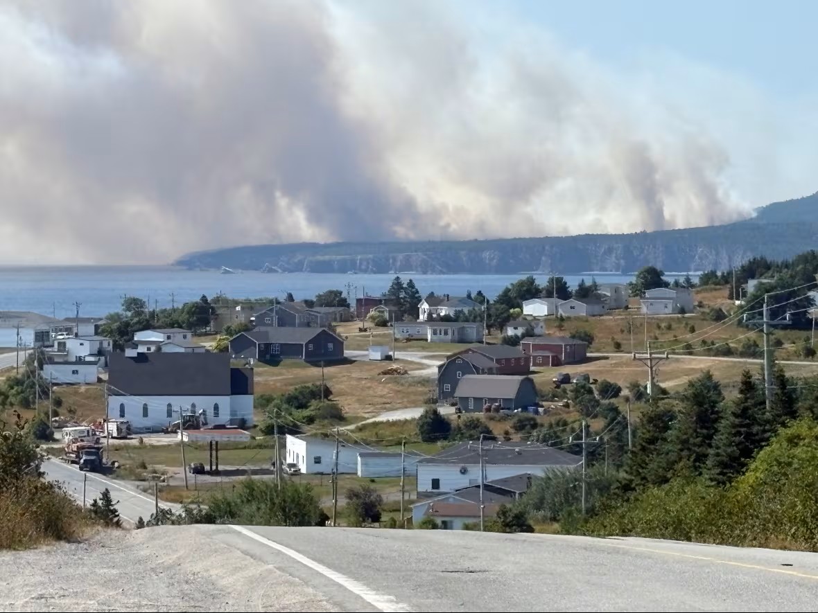 2025 Forest Fire Recovery Funds - Community Foundation of Newfoundland ...